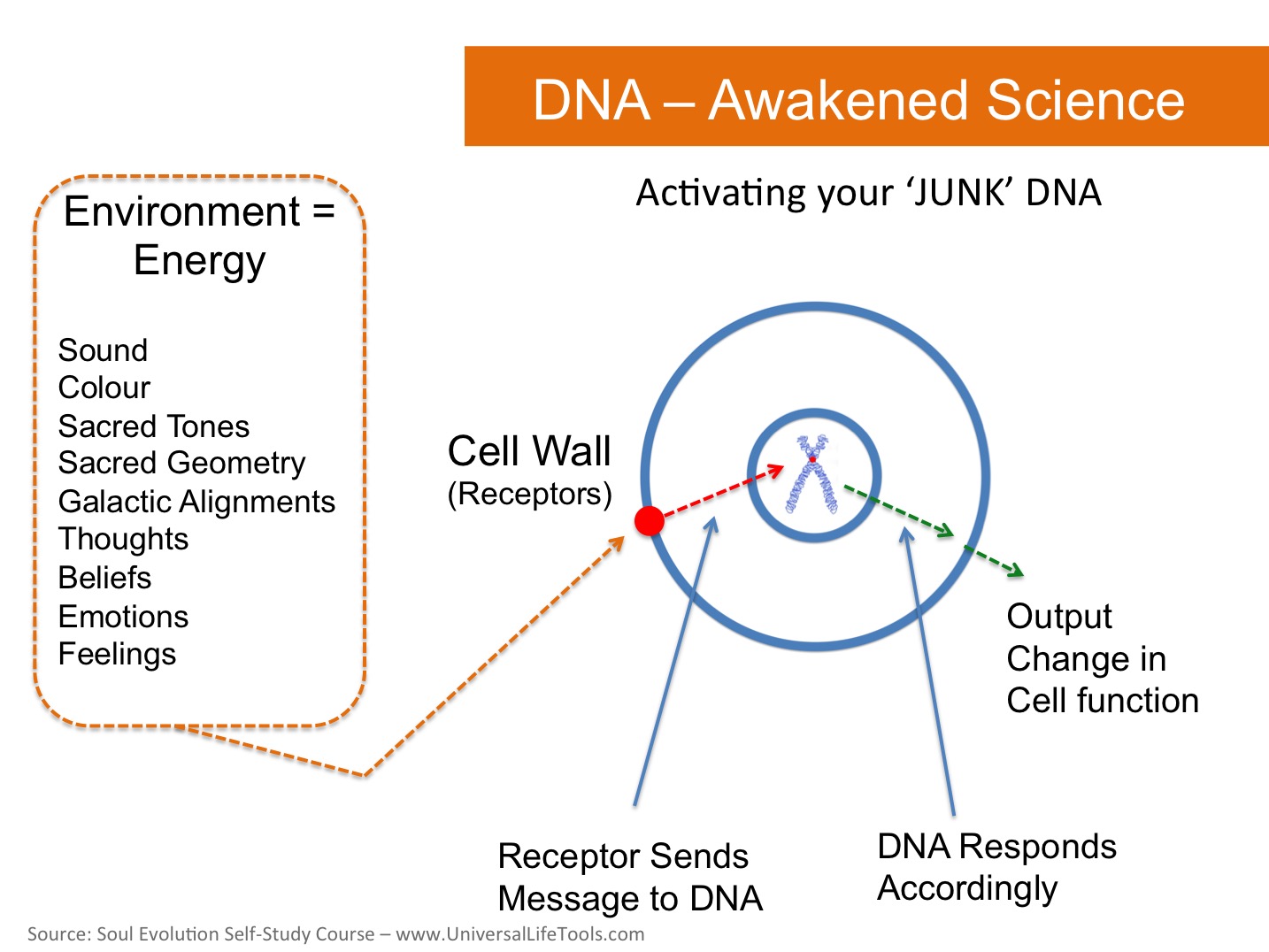 Singers: The Emotional Factor